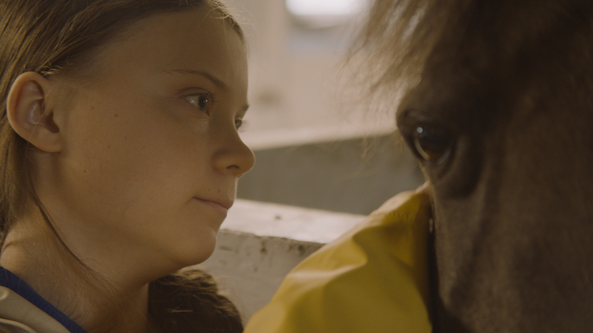 Film review: I am Greta, European Film Festival SA 2020 - The Cape Robyn