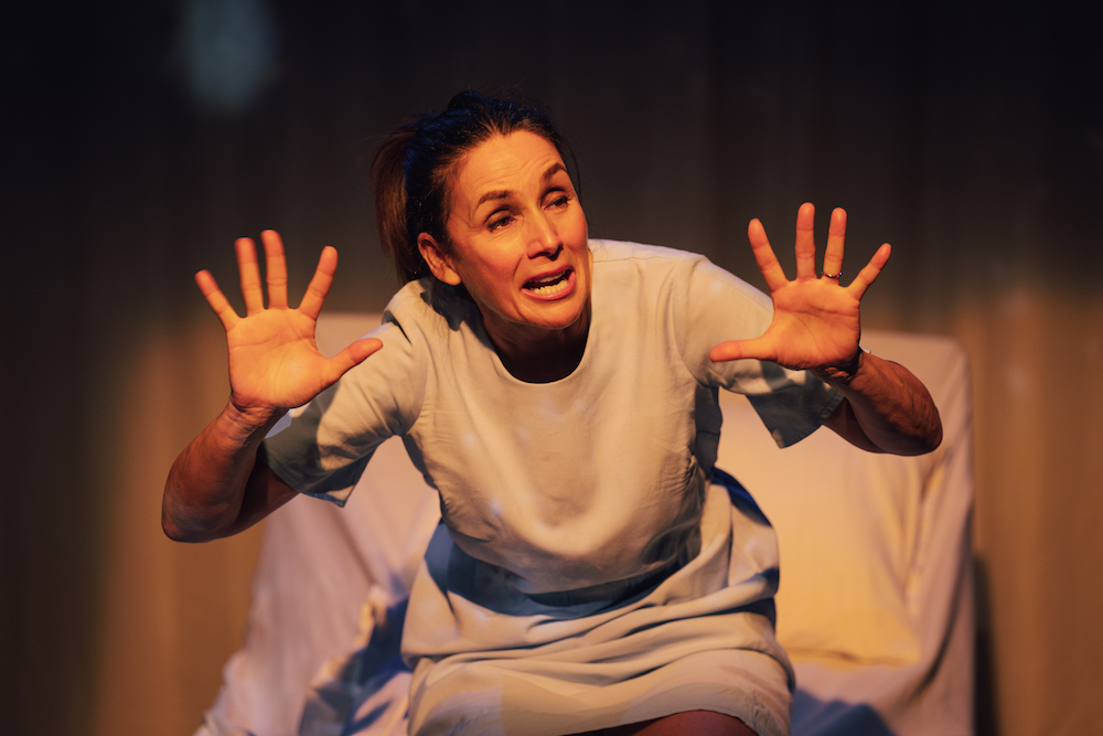 Review: Julie-Anne McDowell glows as a feisty, spunky and brave My Name ...